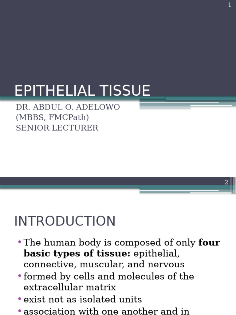 Epithelial Tissue | PDF
