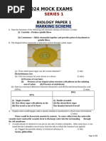 Form Four Biology Mock Exam 2025 | PDF | Cell (Biology) | Arm