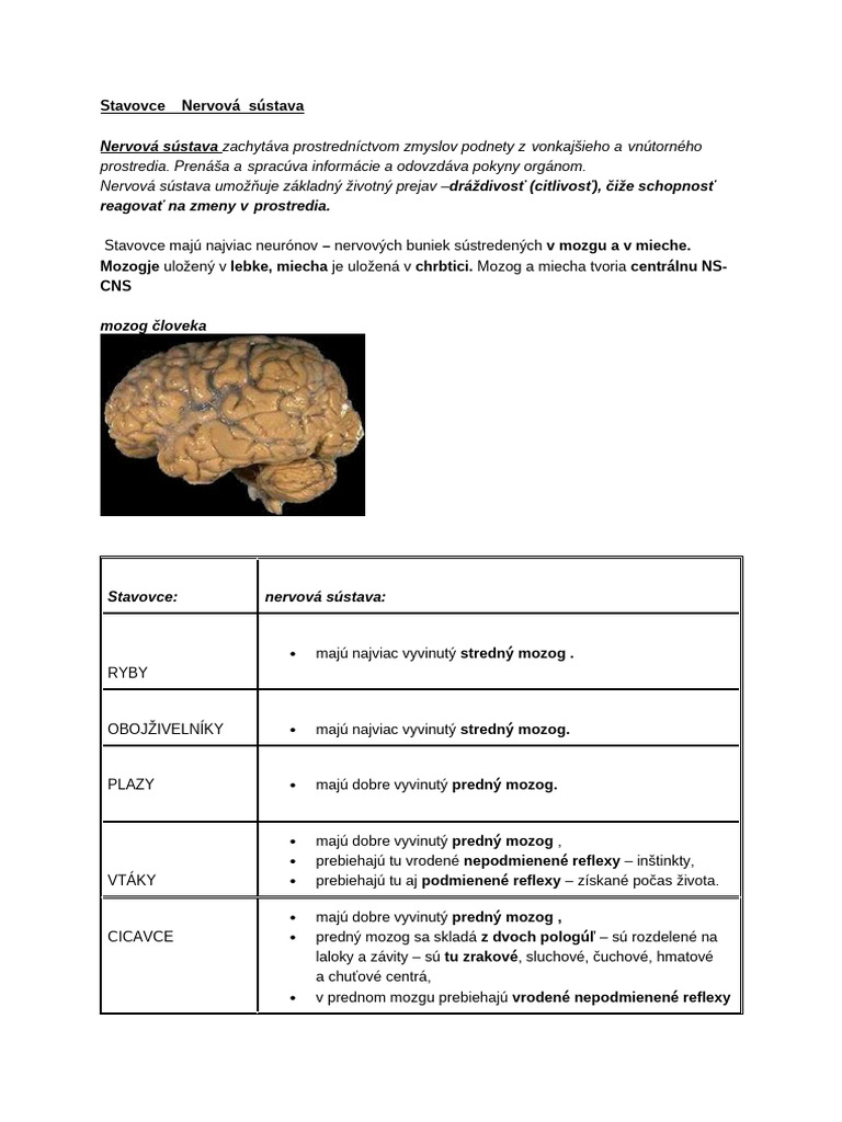AntipsychotikÃ¡ 5 | PDF