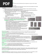 OCR (A) Biology A-Level Module 2 Foundations in Biology Revision - PMT ...