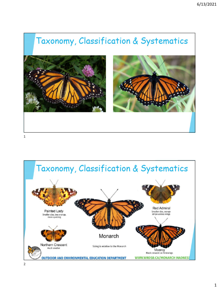 Taxonomy and Classification | PDF | Taxonomy (Biology) | Taxon