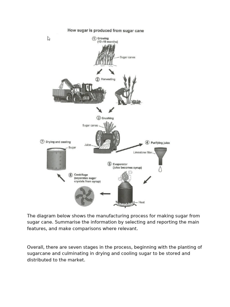 HoangNhan WritingTask1-Sugar | PDF