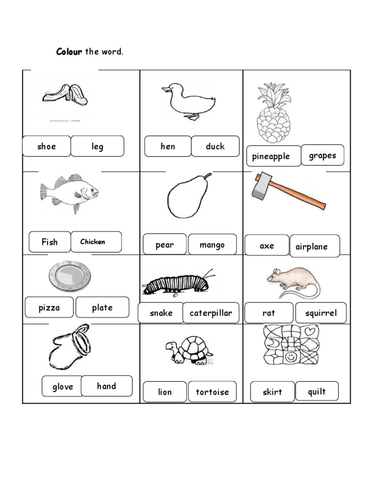 Colorful Word Association Activity | PDF