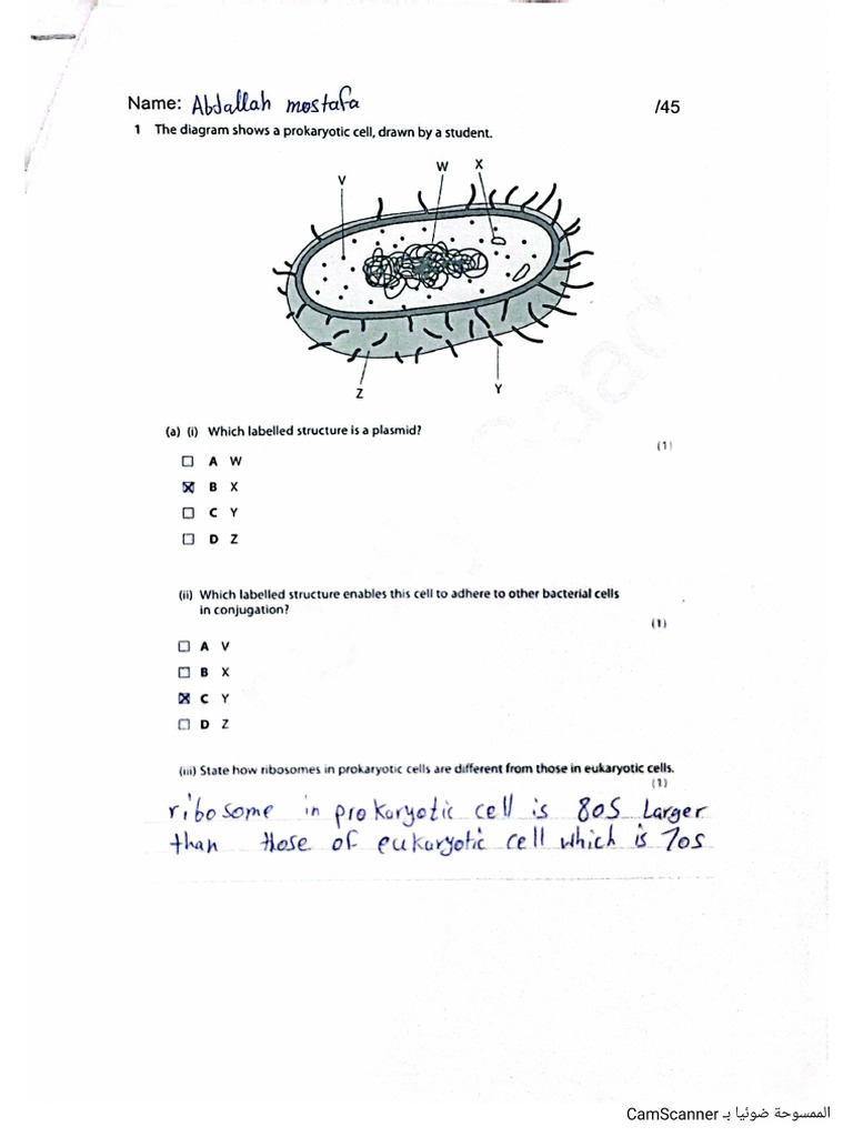 Cell Structure Test | PDF