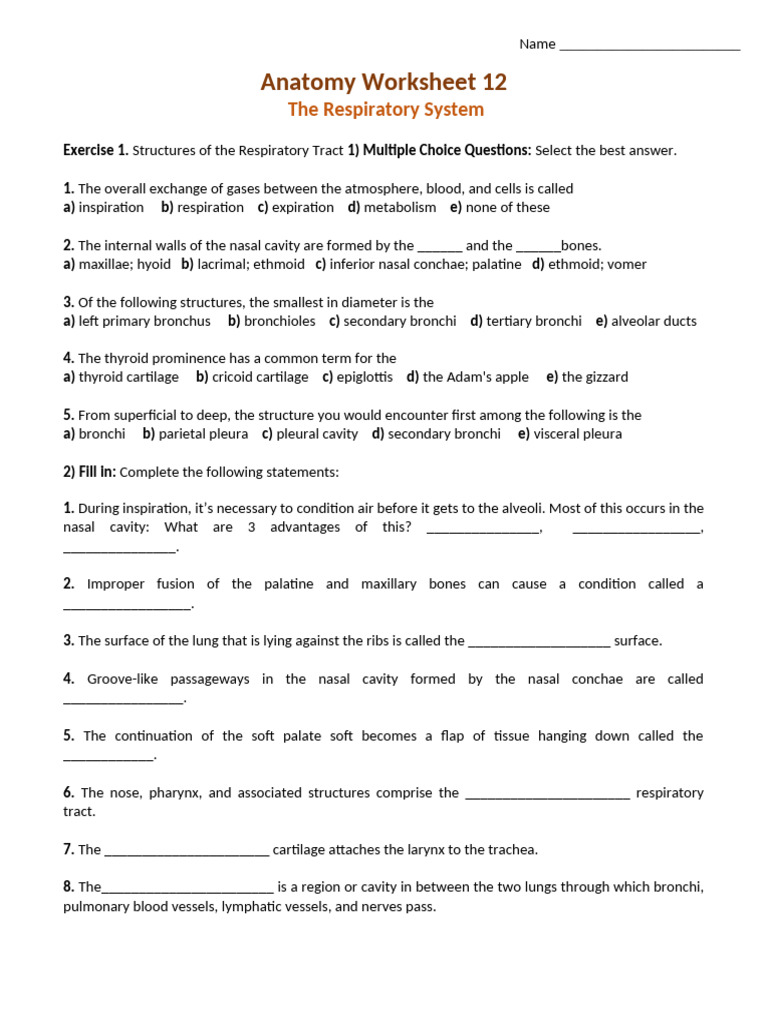 Anat WKST 12 Respiratory | PDF | Respiratory Tract | Lung