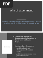 Mitosis Mover Webquest Bioman PDF | PDF | Mitosis | Chromosome