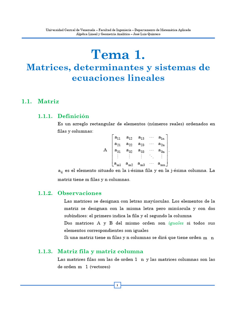 Tema 2. Vectores en R2 y en R3 | PDF | Matriz (Matemáticas) | Determinante