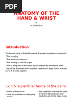 Upper Limb Positioning X Ray | PDF | Elbow | Hand