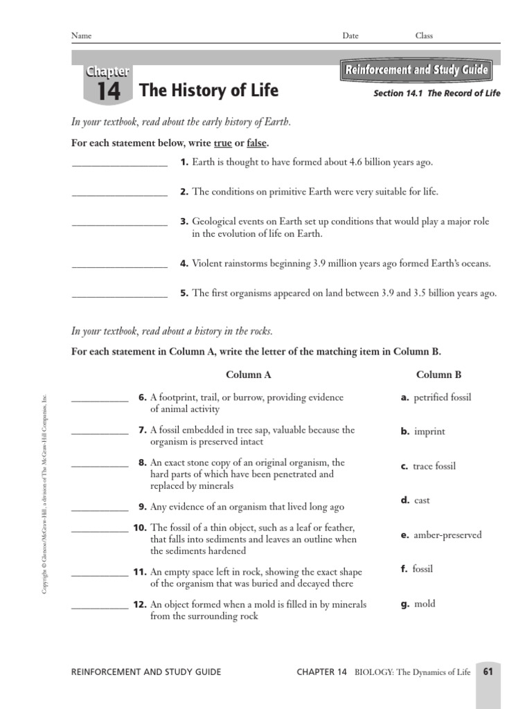 Chapter 12 the history of life | PDF | Biology | Nature