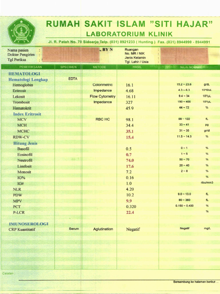 Tampilan Print Out Hasil Laborat | PDF