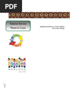 Overview of NSRC | PDF | Government | Disaster And Accident