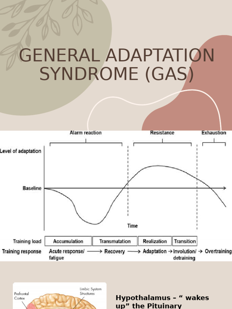 General Adaptation Syndrome (Gas) | PDF | Human Communication ...