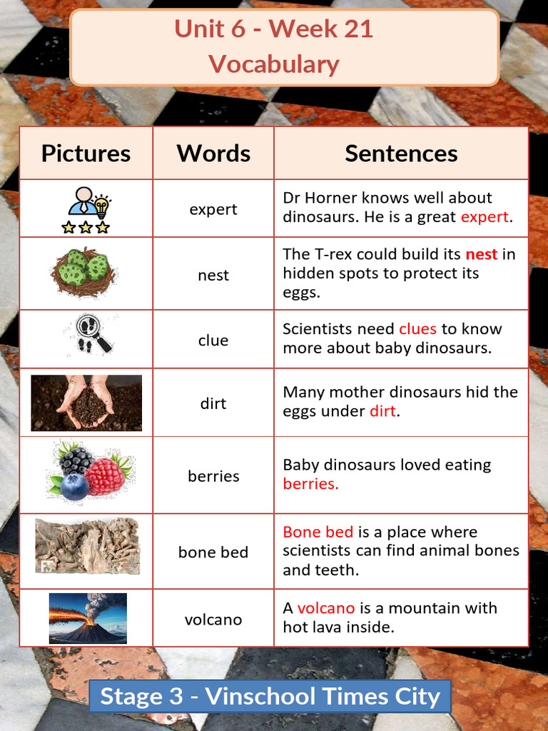 Week 21 - Unit 6 - Word Bank -Từ Vựng Tuần 21 | PDF