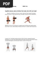Transverse Plane Exercise Guide | PDF