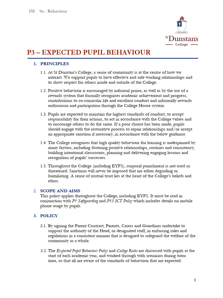 P3 - Expected Pupil Behaviour | PDF | Electronic Cigarette | Behavior