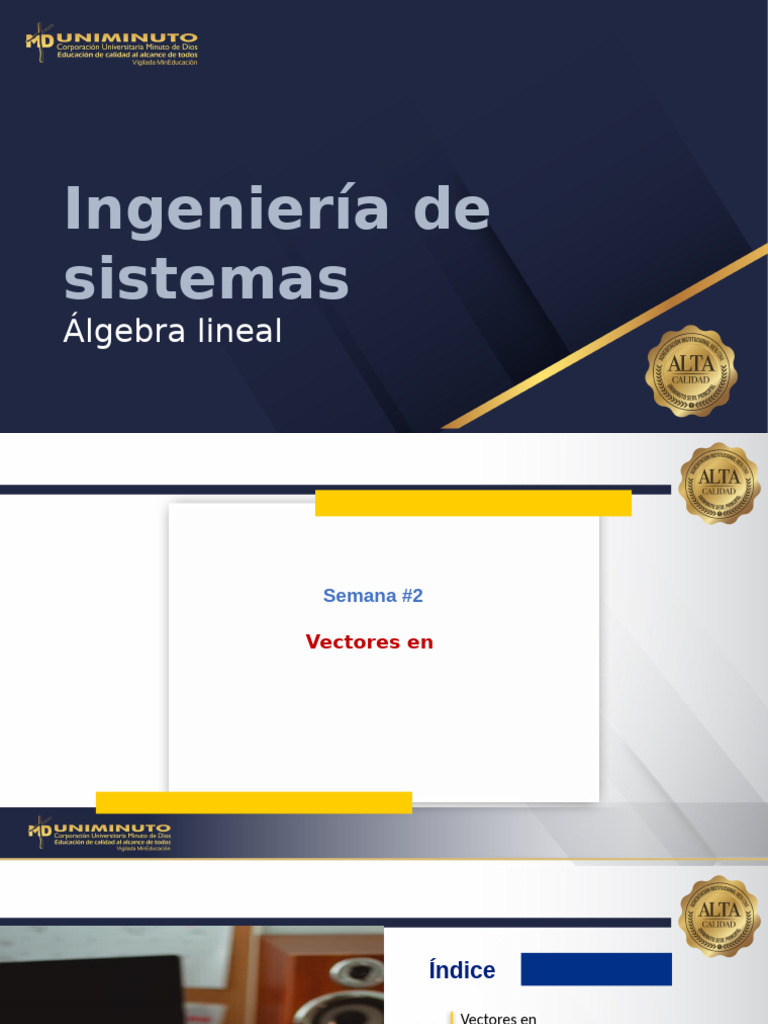 Semana2 - Álgebra Lineal - Ingeniería | PDF | Vector Euclidiano | Espacio vectorial