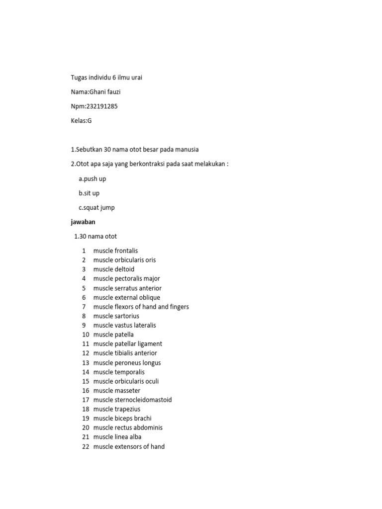 Tugas Individu 6 Ilmu Urai | PDF