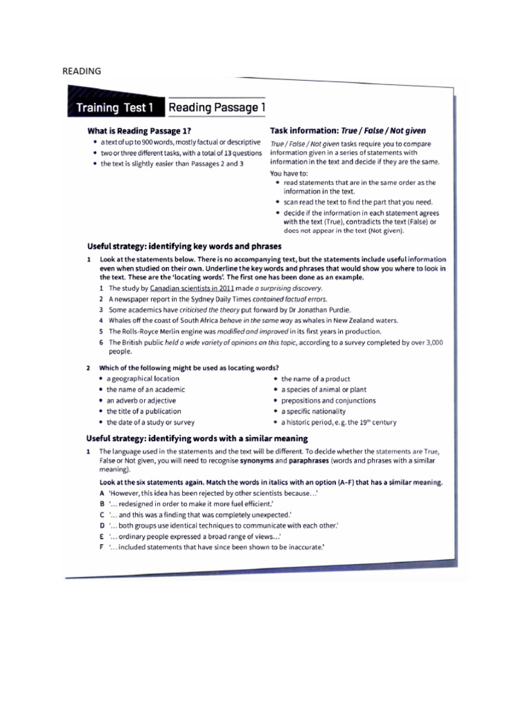 READING - Demo | PDF