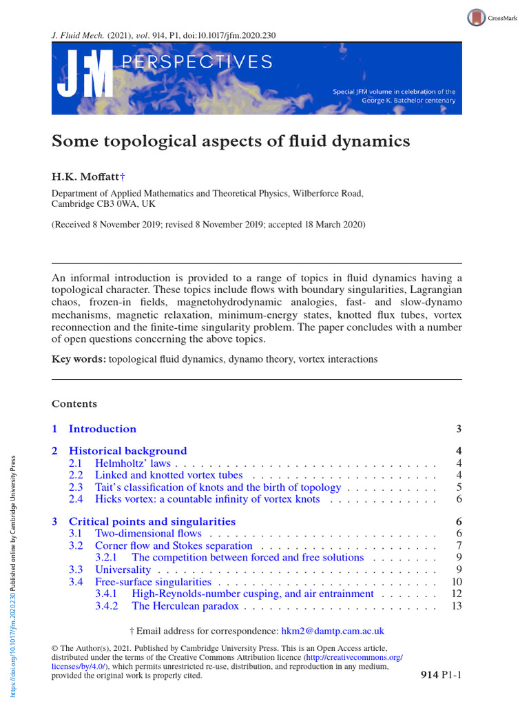 some-topological-aspects-of-fluid-dynamics | PDF | Vortices | Chemical Engineering