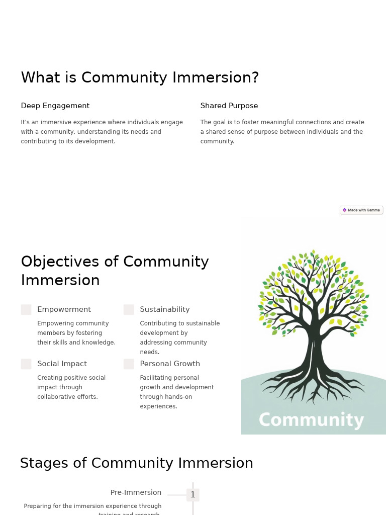 The Process of Community Immersion | PDF | Community | Evaluation