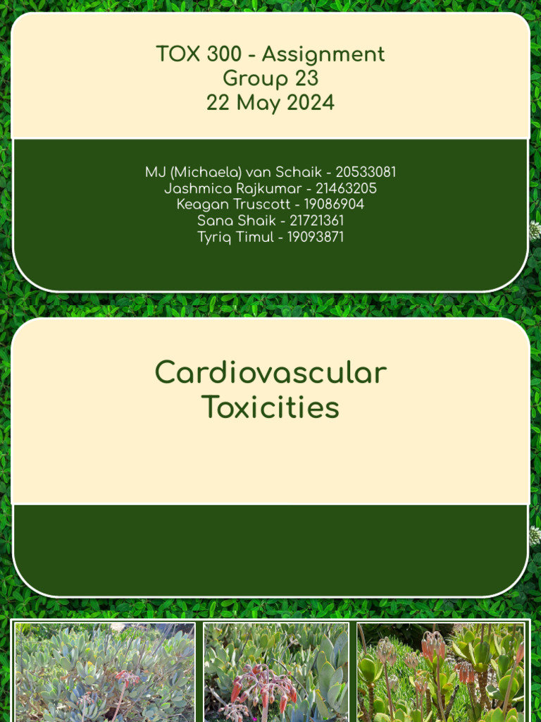 TOX Assignment 2024 Presentation | PDF