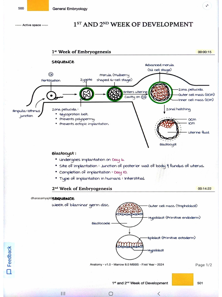 4.GENERAL EMBRYOLOGY | PDF