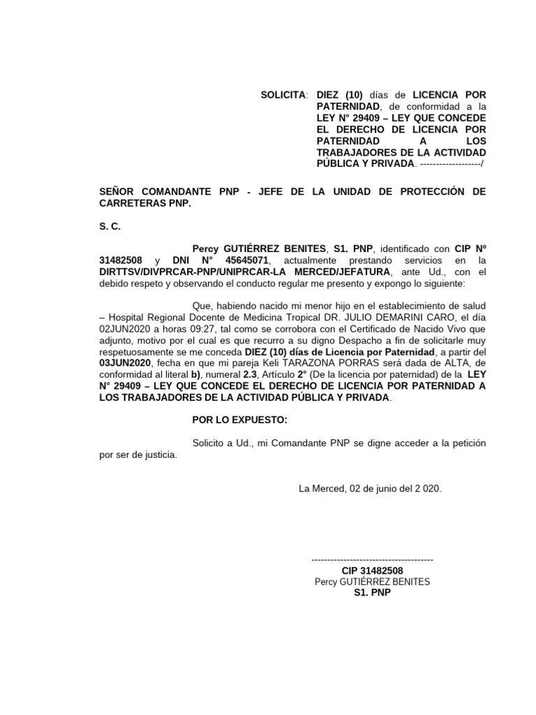 Modelo Solicitud de Paternidad | PDF