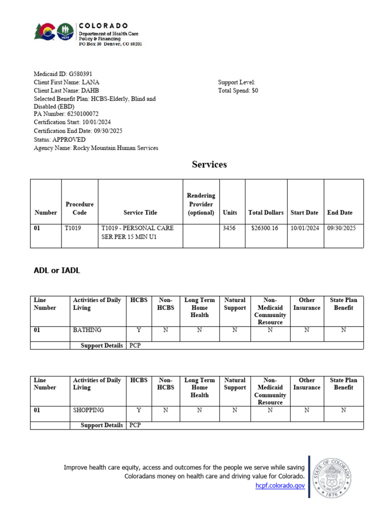 SERVICE PLAN.20250207.SAK.15931851 Lana Dahb | PDF | Medicaid | Health ...
