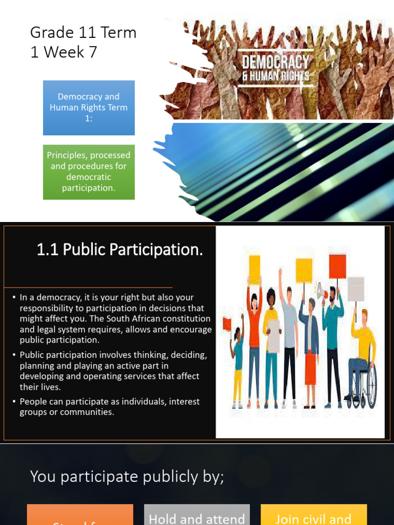 7 Principles of Democratic Participation | PDF | Governance | Electoral ...