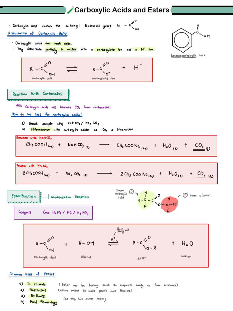Carboxylic Acids and Esters - FactRecall | PDF | Ester | Carboxylic Acid