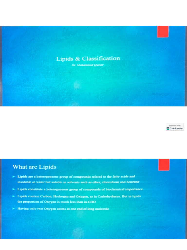 Lipid Classification | PDF