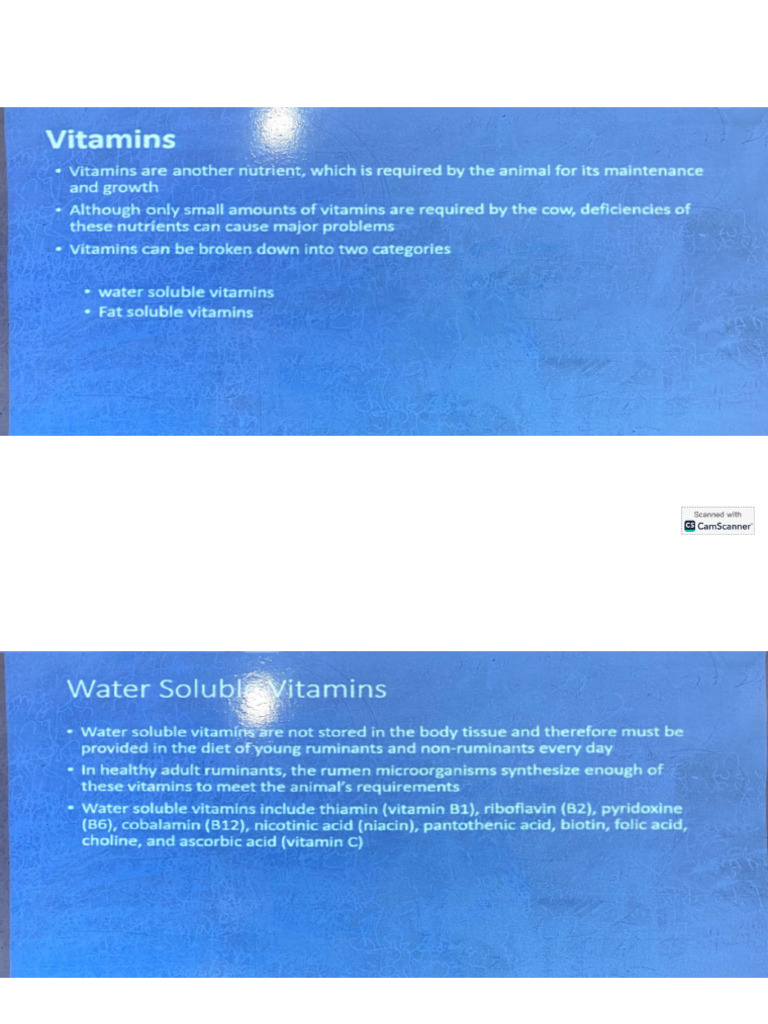 Vitamins | PDF