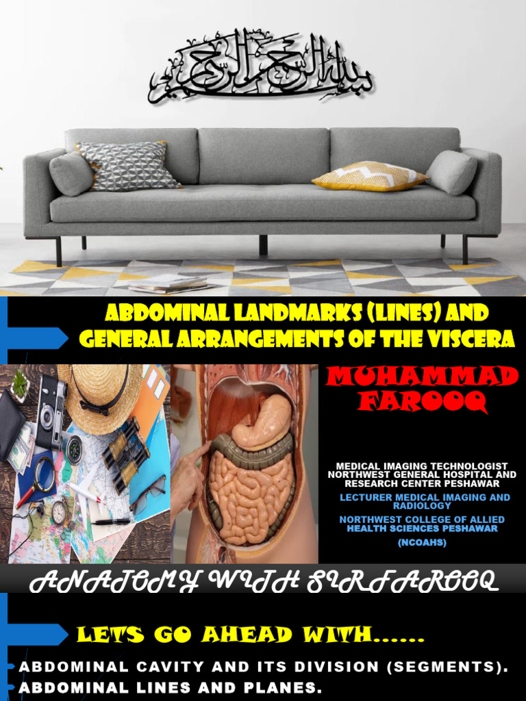 Abdominal Landmarks and Viscera Overview | PDF | Stomach | Abdomen