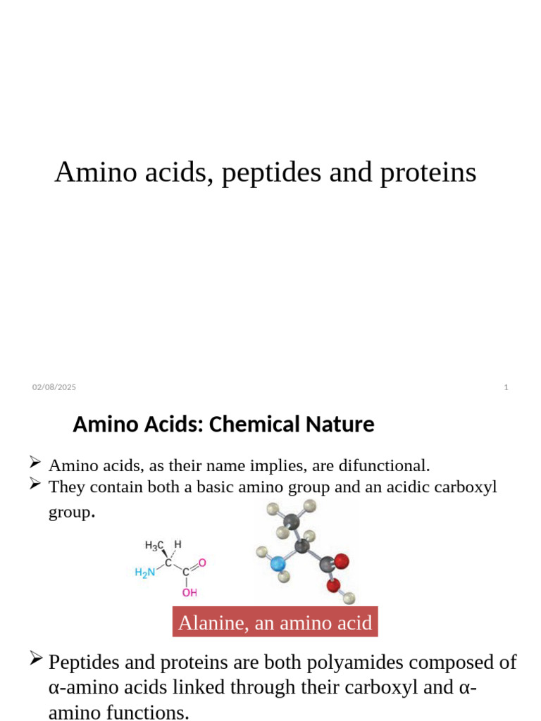 CNP 4 Amino Acids, Peptides and Proteins | PDF | Protein Structure | Amino Acid