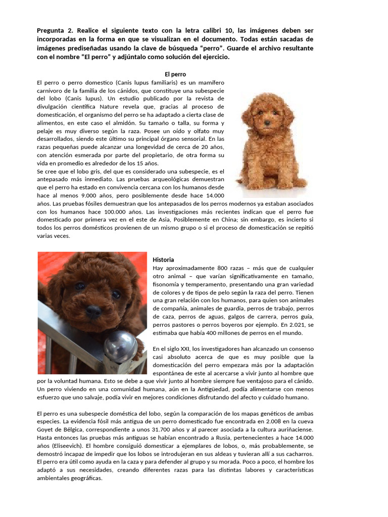 El perro | PDF | Perros | Domesticación