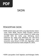 Perhitungan SKDN | PDF