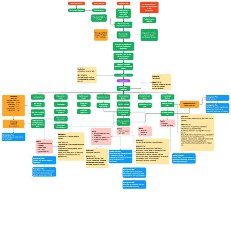 Dengue - PCAP Concept Map | PDF | Immune System | White Blood Cell