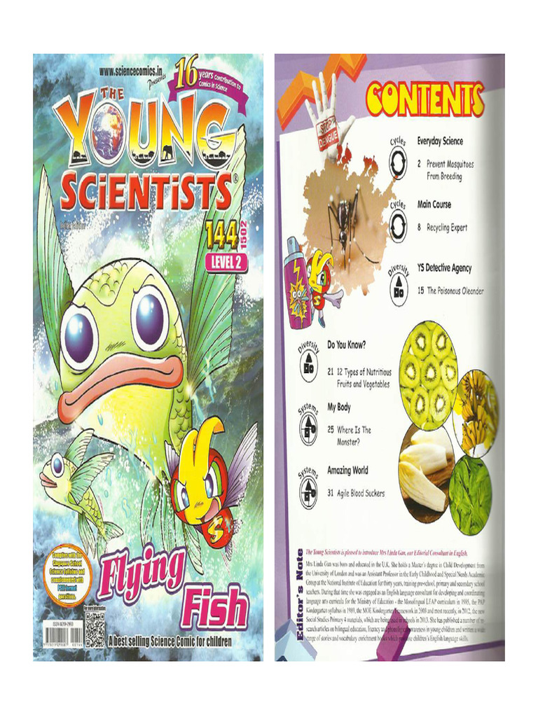 Level 2 - PDF BOOK-compressed | PDF