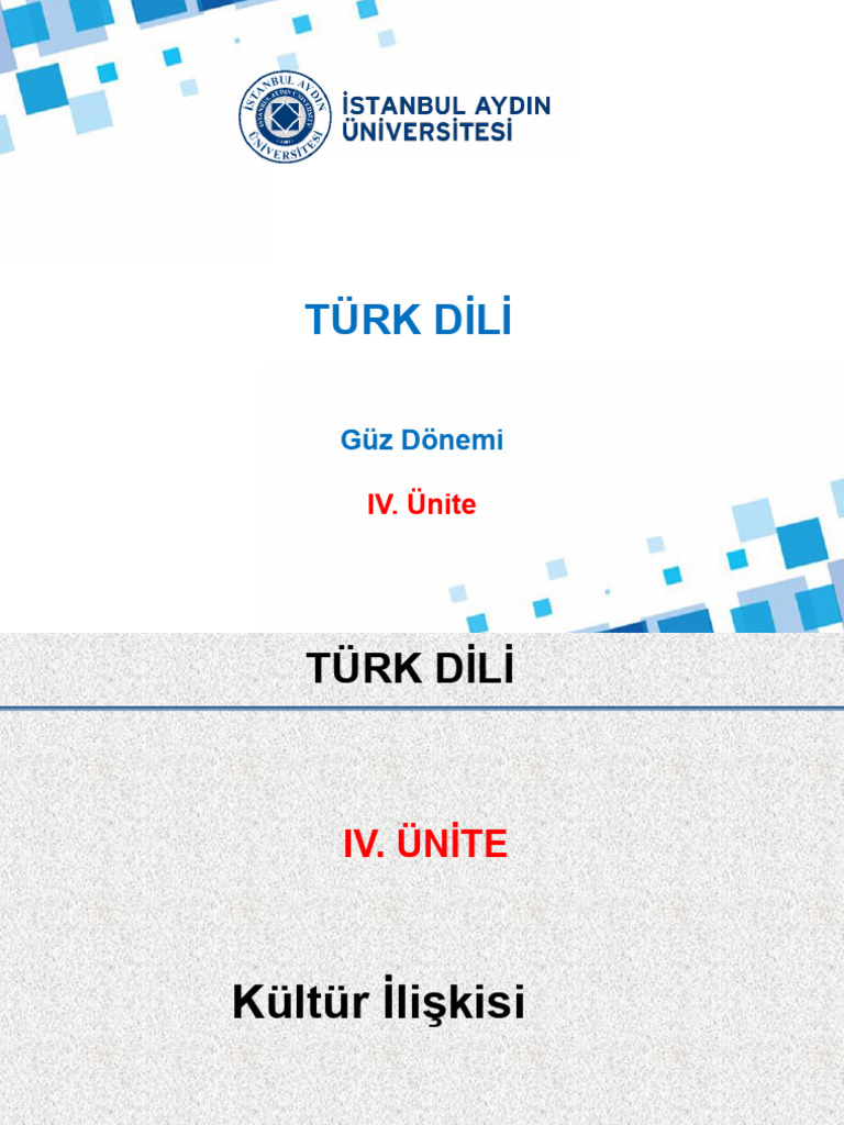 Turkish Language | PDF