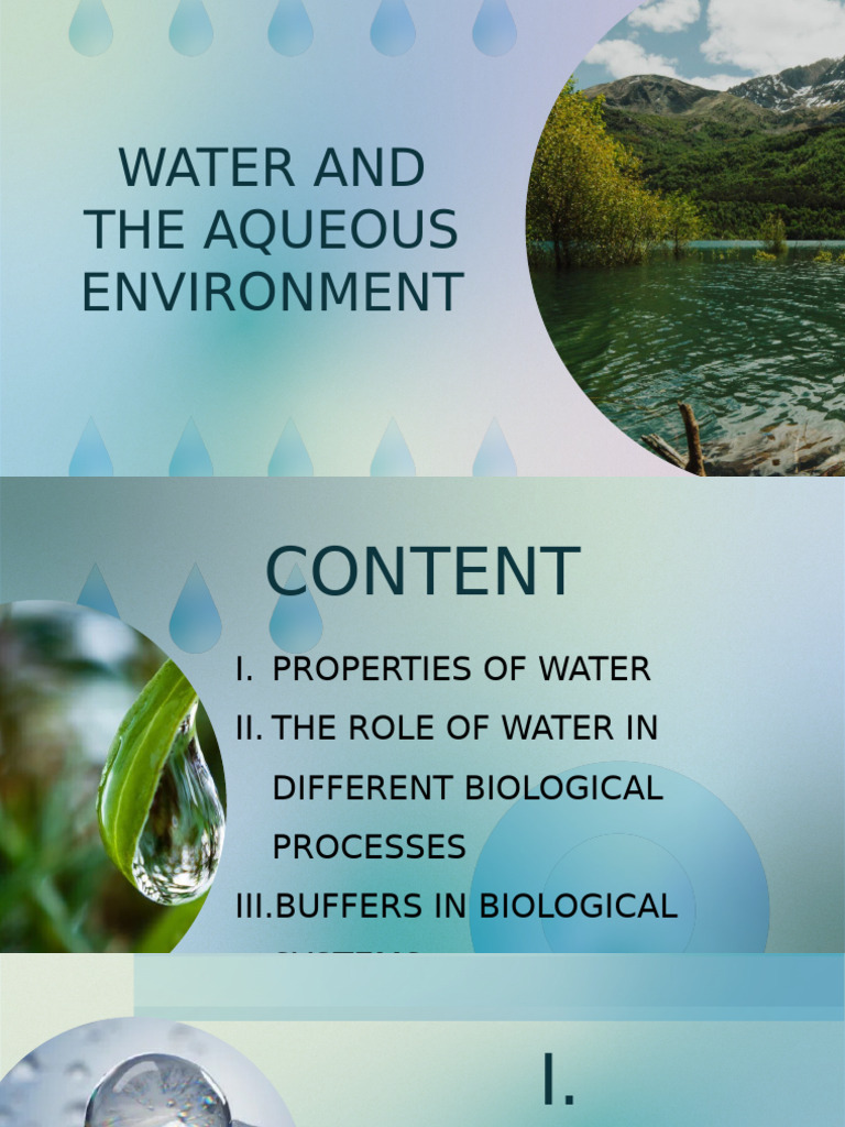 Water and The Aqueous Environment Group 2 | PDF | Buffer Solution ...
