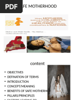 Pillars of Safe Motherhood Explained | PDF | Maternal Death | Childbirth