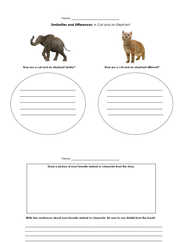 Similarities and Differences Activity Sheet | PDF