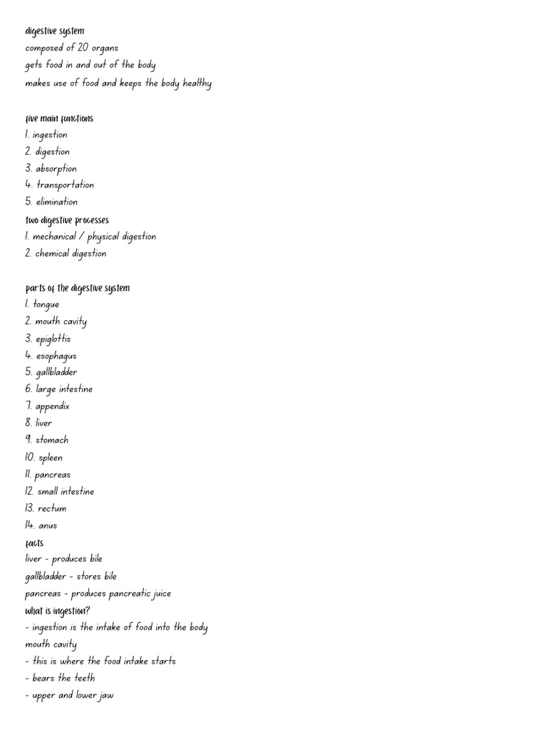 Digestive System Overview and Functions | PDF