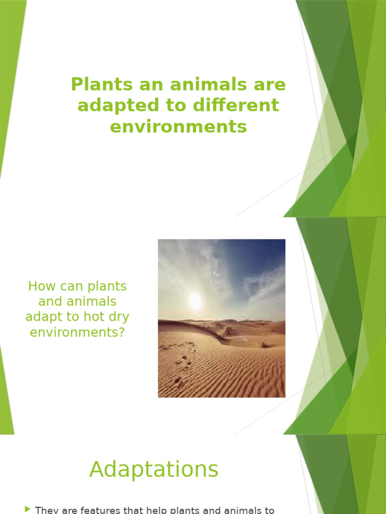 Plants An Animals Are Adapted To Different Environments | PDF ...