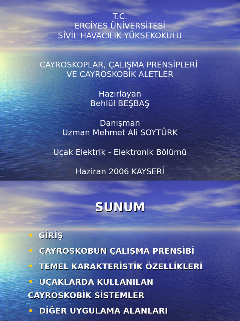 Sunum 1 | PDF