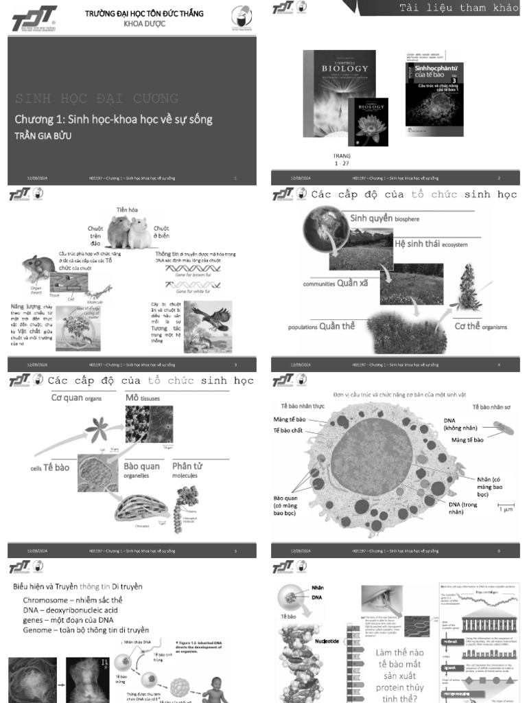 SHDC Chương 1 | PDF