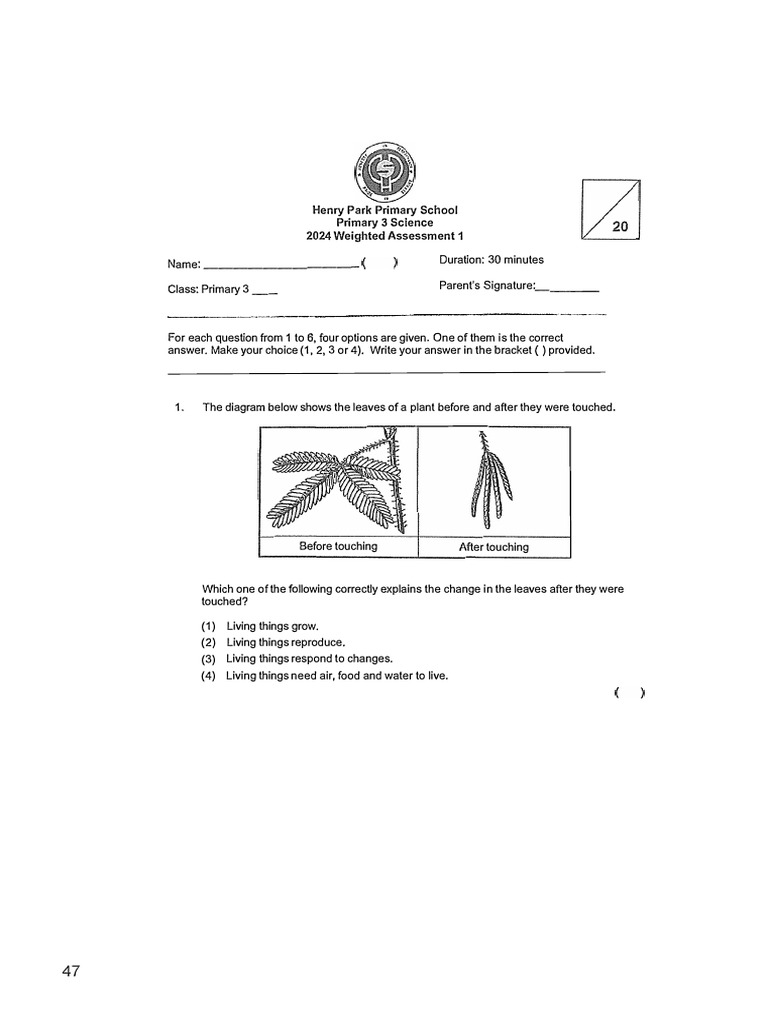 Primary 3 Science Assessment 2024 | PDF