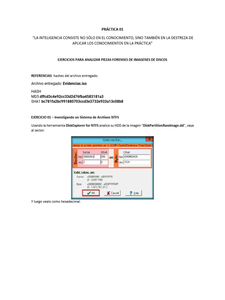 PRACTICA01 | PDF | Archivo de computadora | Contraseña