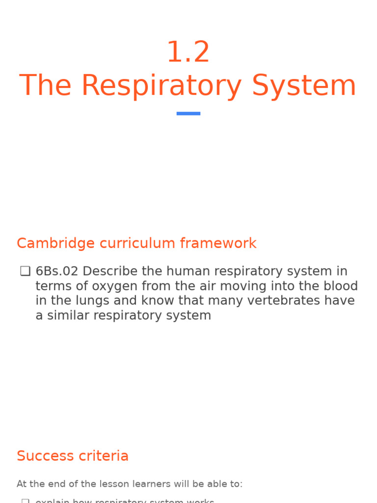 Unit 1.2-The Respiratory System | PDF