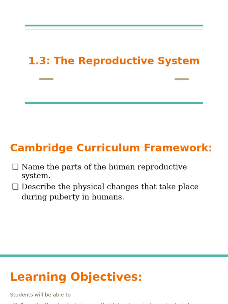 Unit 1.3 - The Reproductive System | PDF | Puberty | Reproductive System